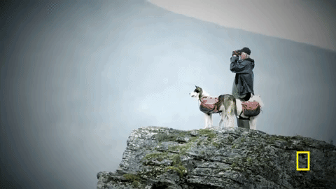 Hill Climbing GIFs - Get the best GIF on GIPHY