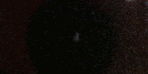 Close Up Horror GIF by Maudit - Find & Share on GIPHY
