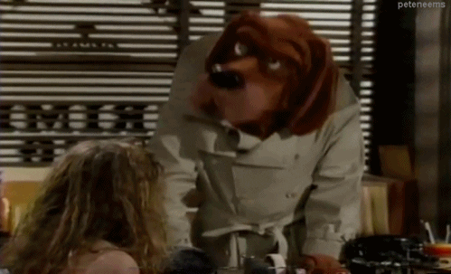 McGruff GIFs - Get the best GIF on GIPHY