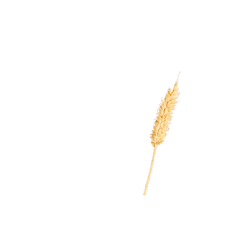 Only Paw You GIFs on GIPHY - Be Animated