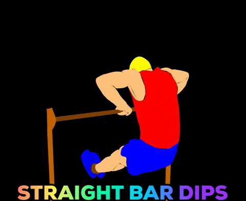 Bar-dip GIFs - Get the best GIF on GIPHY
