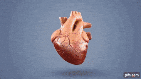Stent Rd GIFs - Get the best GIF on GIPHY