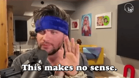 Makes No Sense Meme