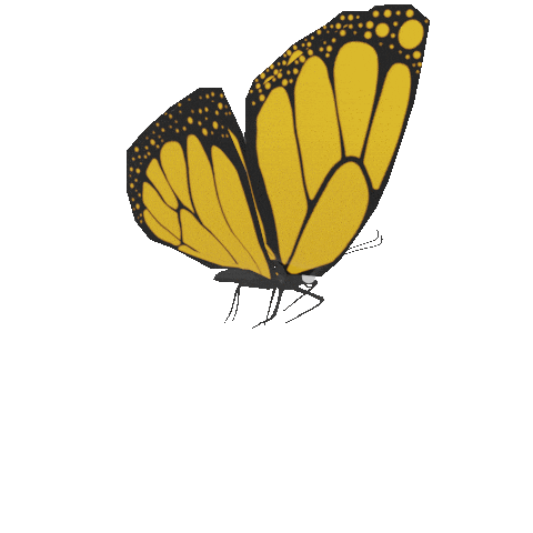 Flower Flying Sticker by Zacxophone for iOS & Android | GIPHY