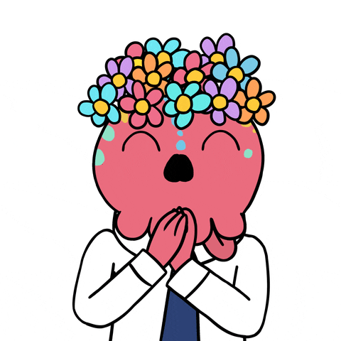 Rechazado Por Falta De Contexto GIFs - Find & Share on GIPHY