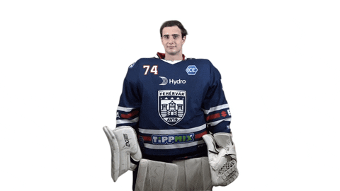 Hockey Hoki GIF by Fehervar AV19 - Find & Share on GIPHY