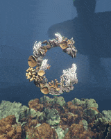 The GIF Thread | Reef2Reef