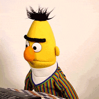 Bert Starrt Gif