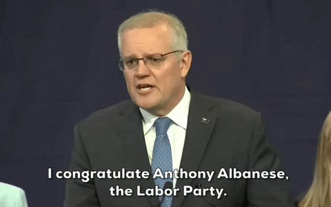 Labor-party GIFs - Get the best GIF on GIPHY