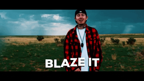 Dank Weed GIFs - Get the best GIF on GIPHY