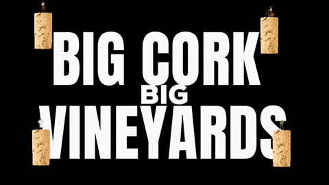 Big Cork Vineyards GIFs on GIPHY - Be Animated