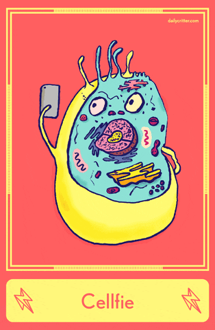 Cellfie GIFs - Get the best GIF on GIPHY