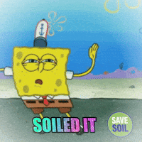 Spongebob Soiled It Gif