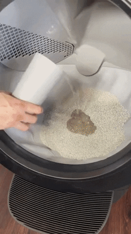 Litter Box GIFs - Find & Share on GIPHY