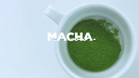 Macha GIF by Sernaiotto - Find & Share on GIPHY