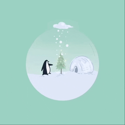 Happy Penguin GIFs - Get the best GIF on GIPHY