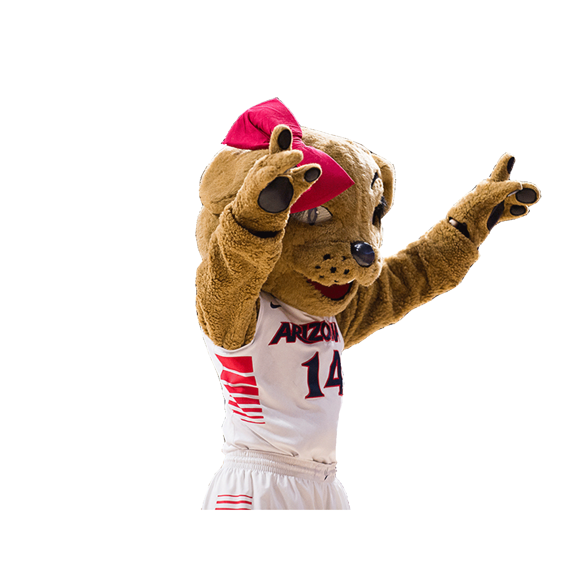 Mascot Sticker by University of Arizona Alumni Association for iOS ...