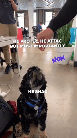 Protec GIFs - Get the best GIF on GIPHY