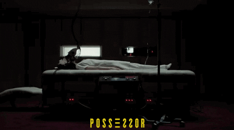 Directors Divas GIFs - Get the best GIF on GIPHY