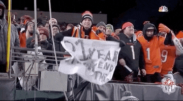 Nfl Playoffs Football GIF by NFL - Find & Share on GIPHY