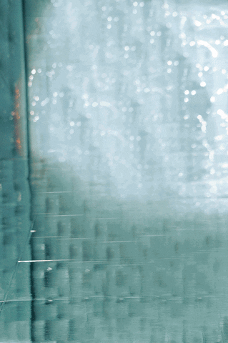 Janice Seinen GIFs - Get the best GIF on GIPHY