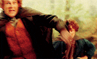 Merry Lord Of The Rings Gif