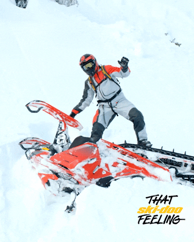 Fun Snow GIF - Find & Share on GIPHY