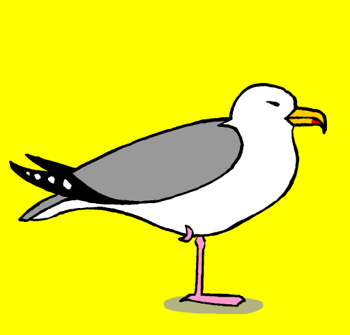 Seagull Happy Dance GIF - Find & Share on GIPHY