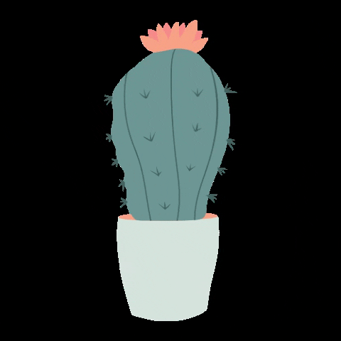 Succulent Bar GIFs on GIPHY - Be Animated