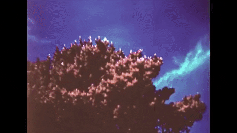 Music Video Design GIF - Find & Share on GIPHY