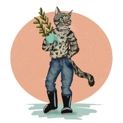 Blue-boots GIFs - Get the best GIF on GIPHY