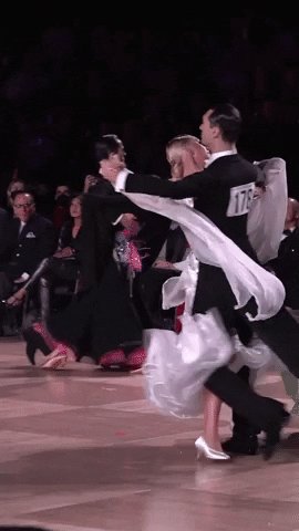 Dancesport GIF - Find & Share on GIPHY