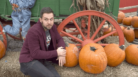 White Girl Fall GIF by Trey Kennedy - Find & Share on GIPHY