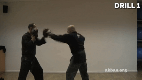 Ninjutsu GIF by AKBAN Academy - Find & Share on GIPHY
