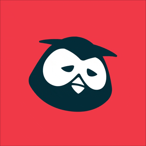Grumpy-owls GIFs - Get the best GIF on GIPHY