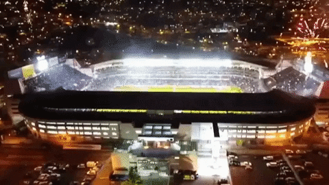 Liga De Quito Ecuador GIF by Jonathanldu - Find & Share on GIPHY