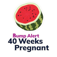 The Bump GIFs on GIPHY - Be Animated