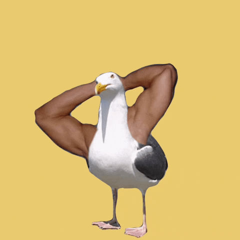 Bird With Arms GIFs - Get the best GIF on GIPHY
