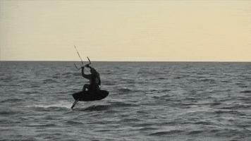 Florida GIFs - Find & Share on GIPHY