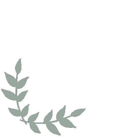 Flower Plant Sticker by Jugendtagung for iOS & Android | GIPHY