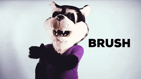 Brushitoff GIFs - Get the best GIF on GIPHY