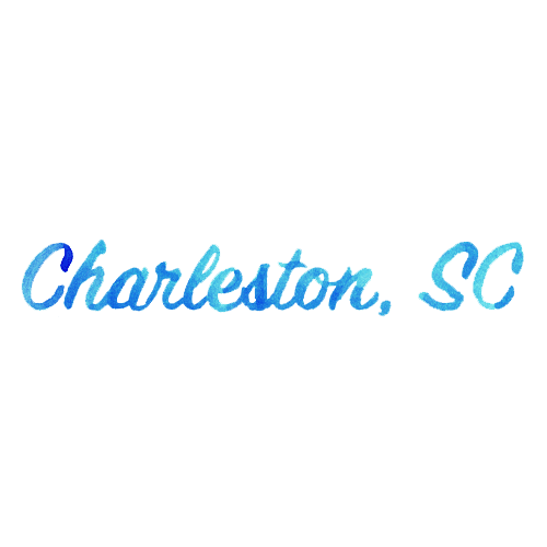 South Carolina Charleston Sticker by Draper James for iOS & Android | GIPHY