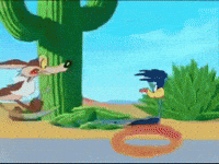Wile E Coyote And Roadrunner Gif