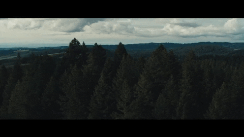 Would You Rescue Me GIFs - Get the best GIF on GIPHY