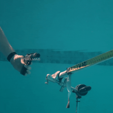 240fps GIFs - Find & Share on GIPHY