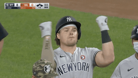 Excited New York Yankees GIF by Jomboy Media - Find & Share on GIPHY