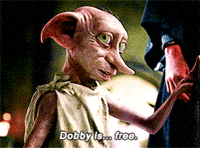 Bad Dobby Meme