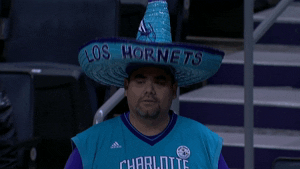 Los-hornets GIFs - Get the best GIF on GIPHY