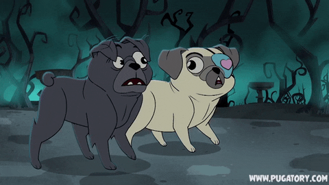 Scared Dog GIF by Pugatory - Find & Share on GIPHY