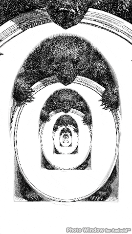 Hyper Droste GIFs - Find & Share on GIPHY